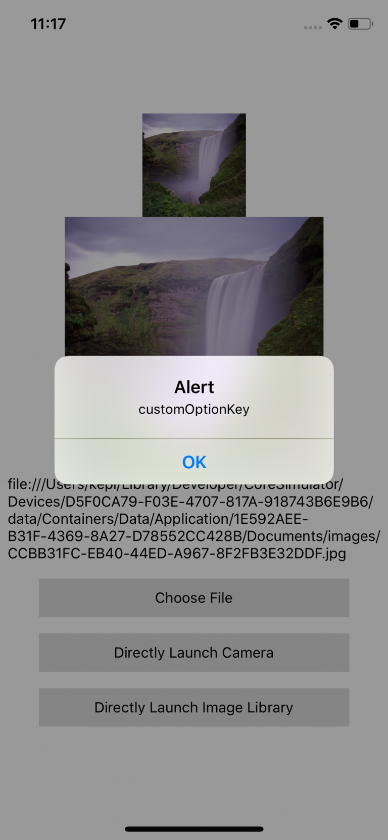 Example of Image Picker in React Native - About React