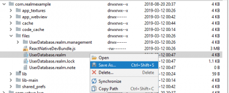 How to See Realm Database Data Saved in Device using Android Studio
